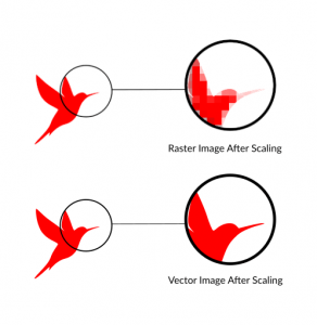 What is a vector file | Popular Vector file formats